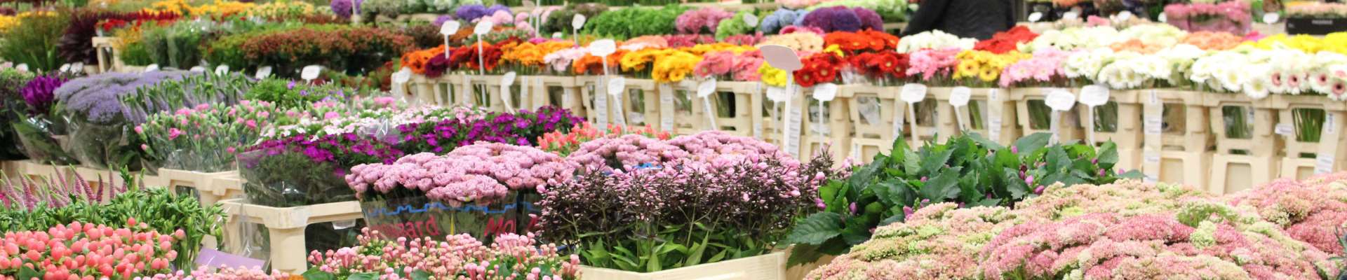 Vorteile1 Shop Instance 2